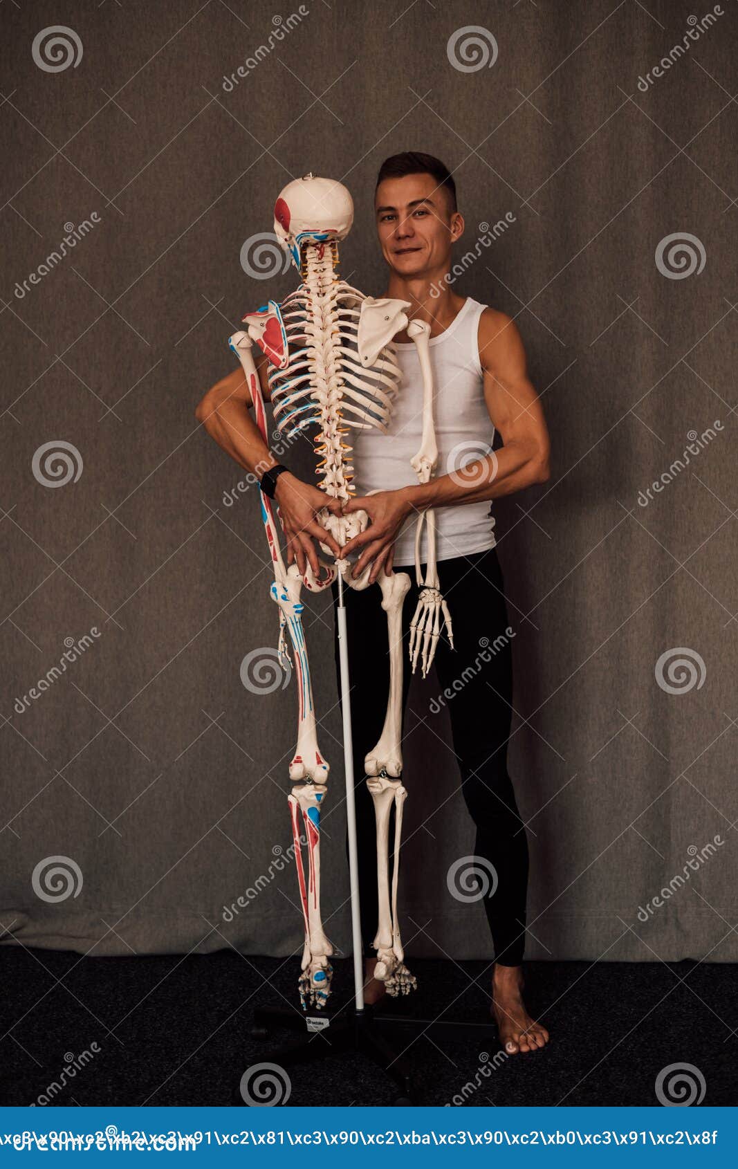 A Man in a White T-shirt Studies the Structure of the Human Skeleton ...