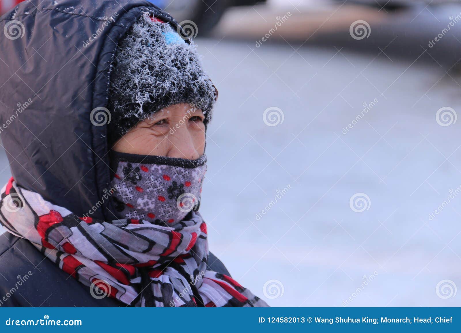 A Man Who Does Not Fear the Cold Editorial Stock Photo - Image of cold ...