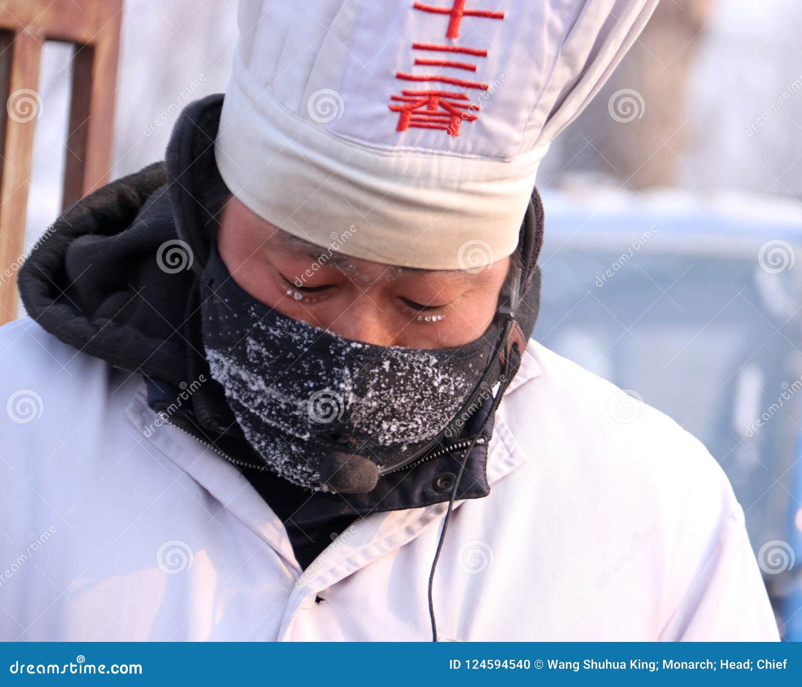 A Man Who Does Not Fear the Cold Editorial Image - Image of geese ...