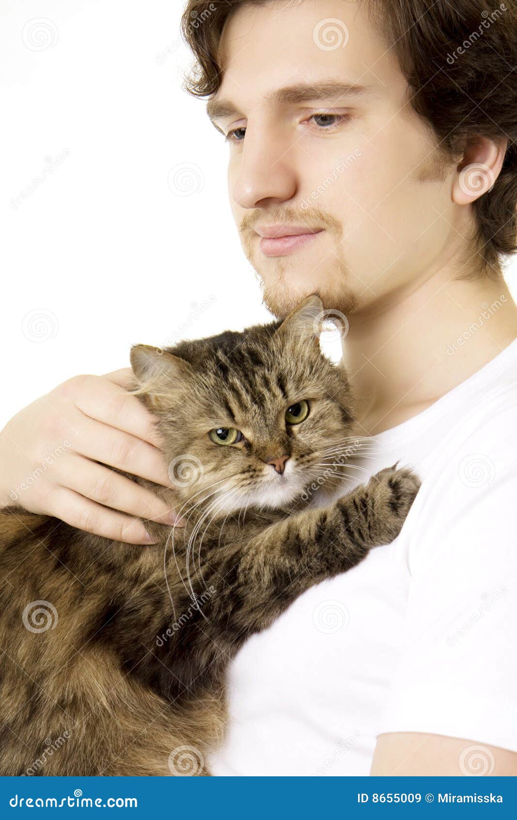 Man Who Keeps on Hand Fluffy Cat Stock Image - Image of baby, gorgeous ...
