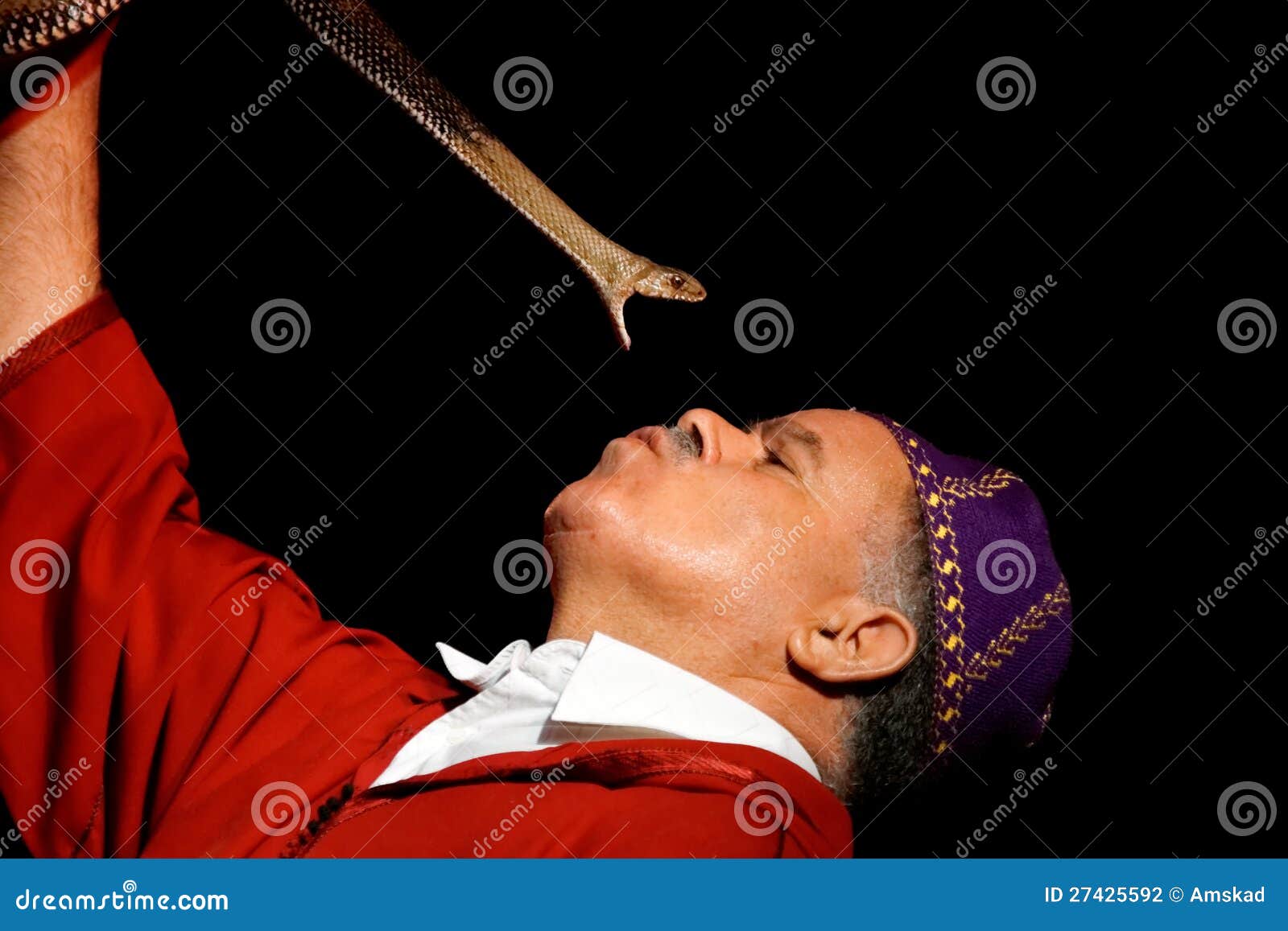 The Man And Snakes Editorial Photo | CartoonDealer.com #83324497