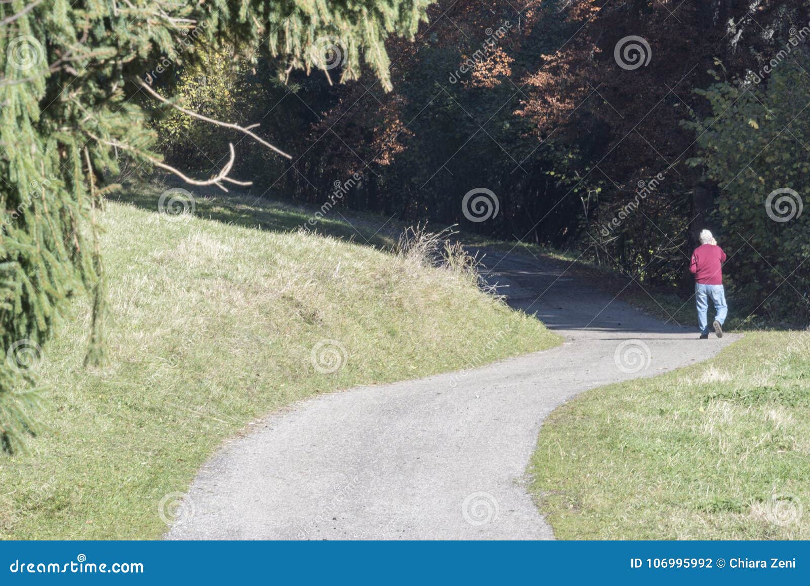 Man walking on a path editorial photography. Image of tree - 106995992