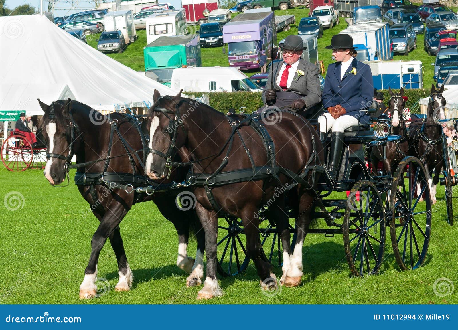Man and Woman in Horse and Carriage Editorial Stock Image - Image of ...