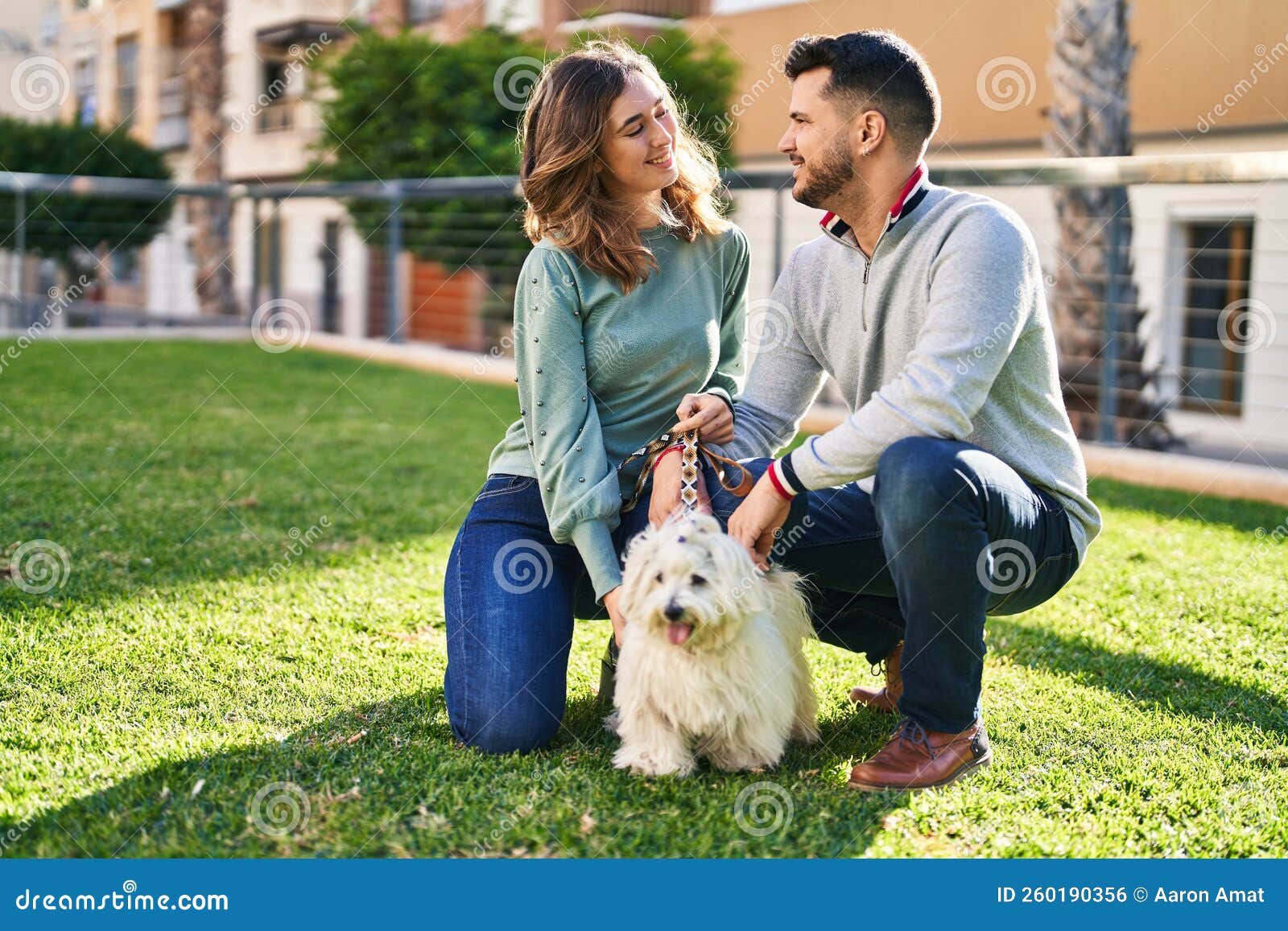 Man and Woman Posing with Dog at Park Stock Photo - Image of woman ...