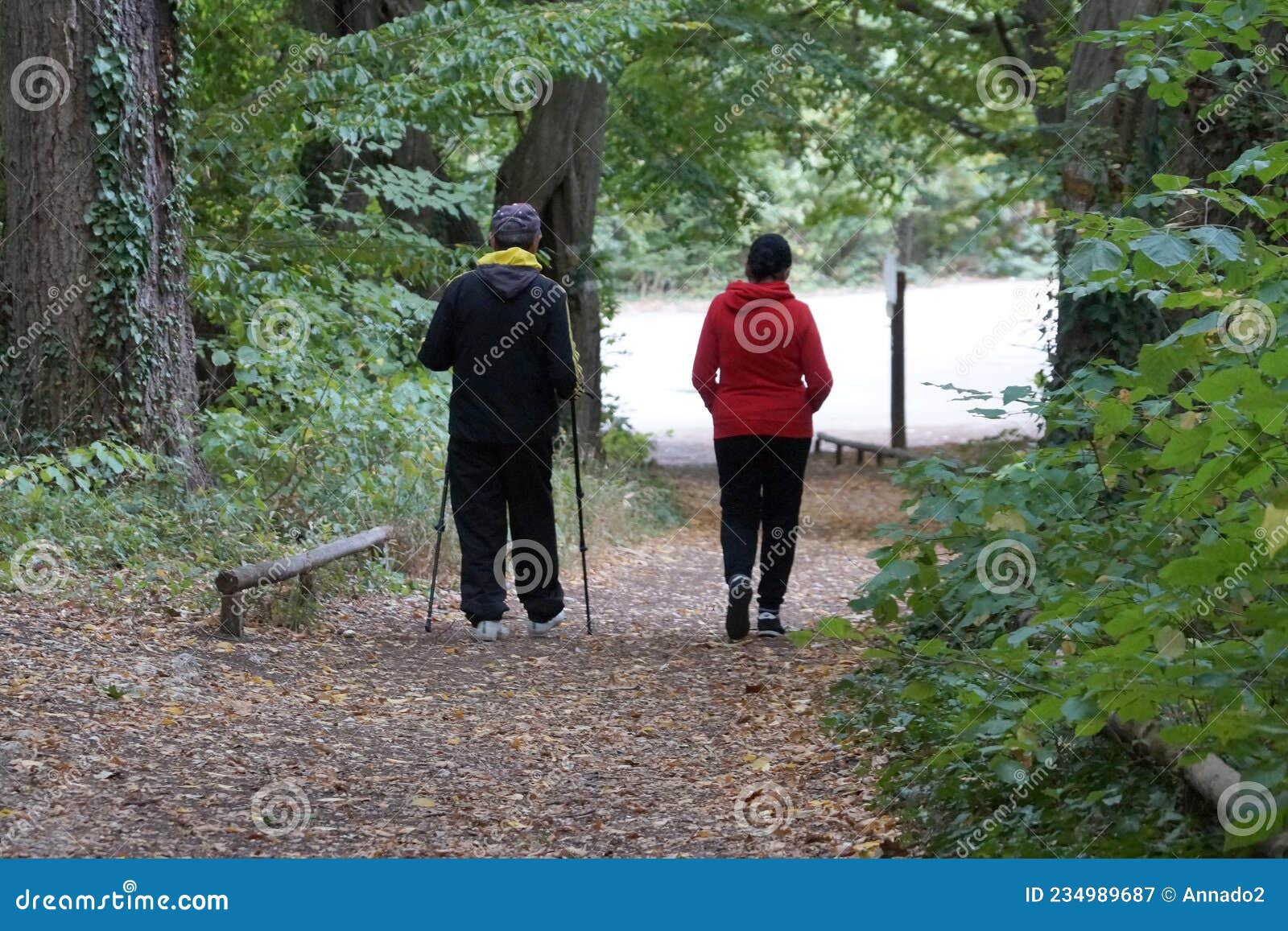Man and Woman Practice Nordic Walking with Sticks in the Park Stock ... Man and Woman Practice Nordic Walking with Sticks in the Park Stock ...