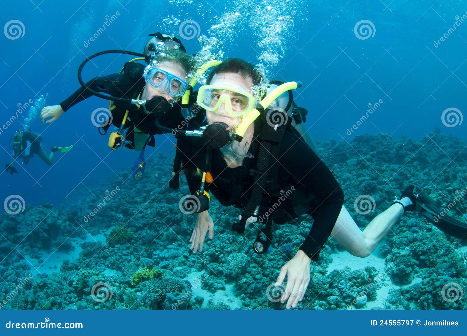 Man and Woman Scuba Dive Togeather Stock Image - Image of water, dive ...
