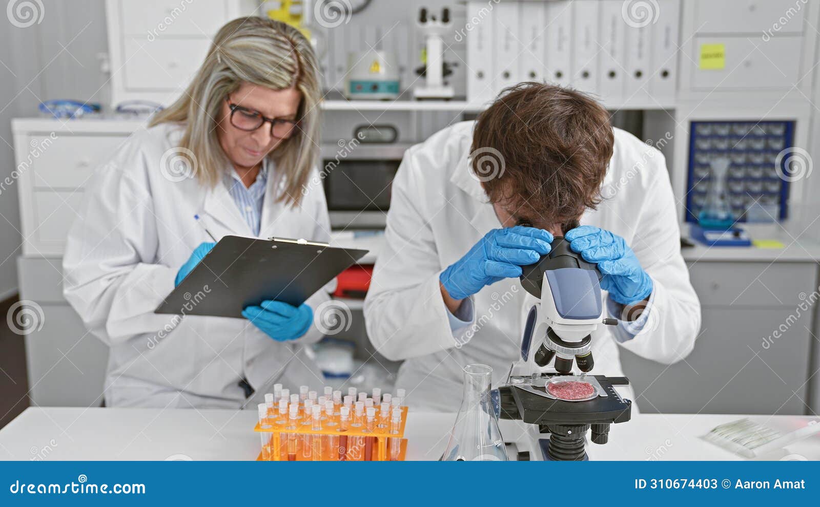 Man and Woman, Two Concentrated Scientists Together in a Lab, Sitting ...
