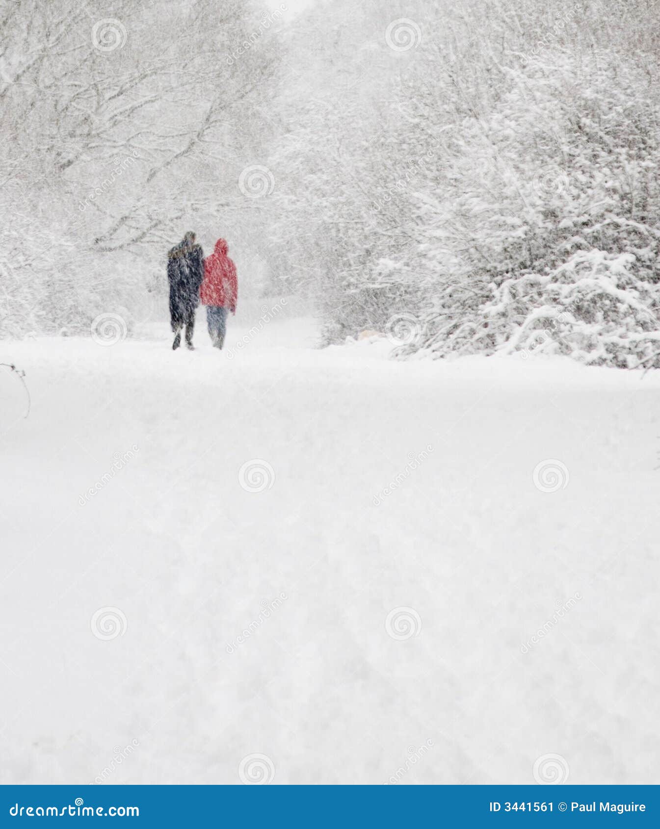 Man and woman walk in snow stock image. Image of countryside - 3441561