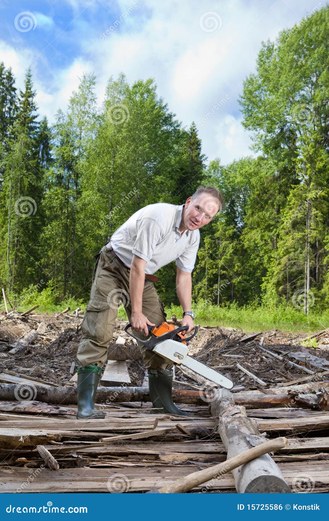 The Man in Wood Saws a Tree a Chain Saw Stock Photo - Image of ...