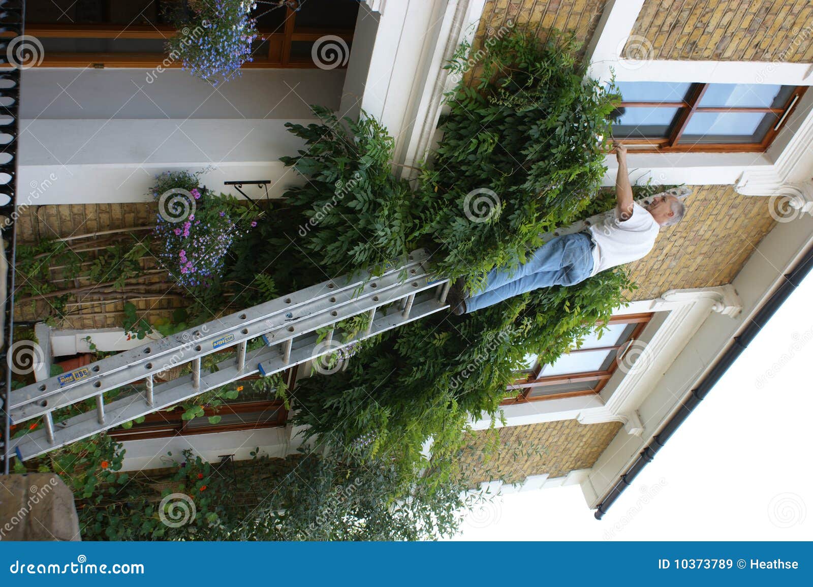 Man at work up a ladder stock image. Image of work, safe - 10373789