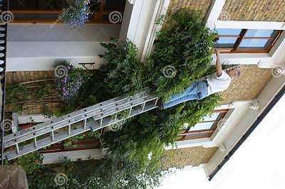 Man at work up a ladder stock image. Image of work, safe - 10373789
