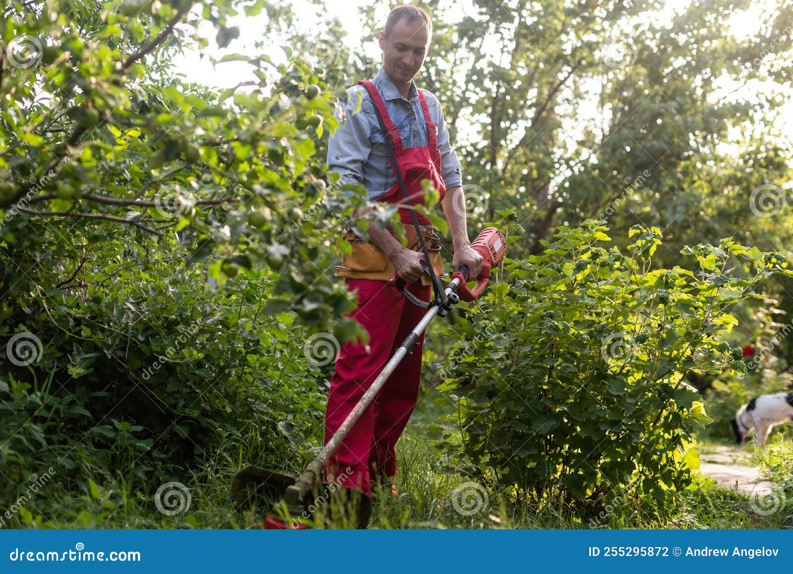 Man Worker Cutting Grass with Lawn Mower. Stock Photo - Image of meadow ...