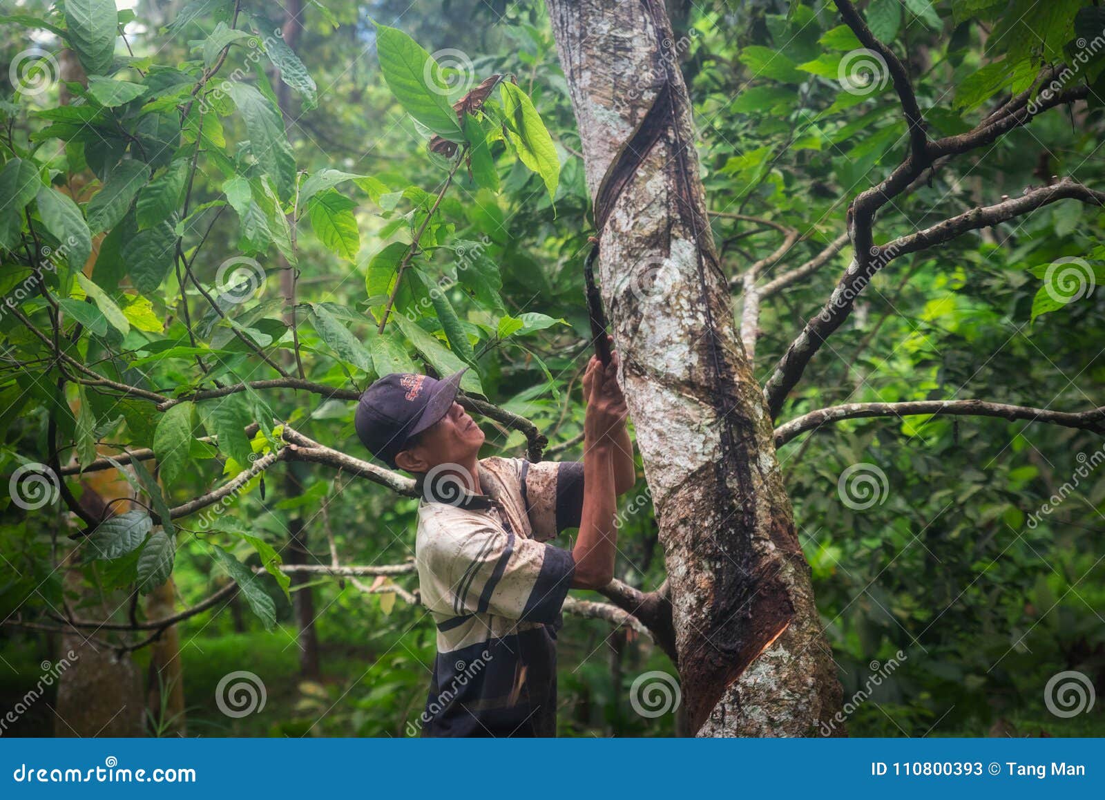 Villager Working with a Knife in Indonesia Editorial Stock Photo ...