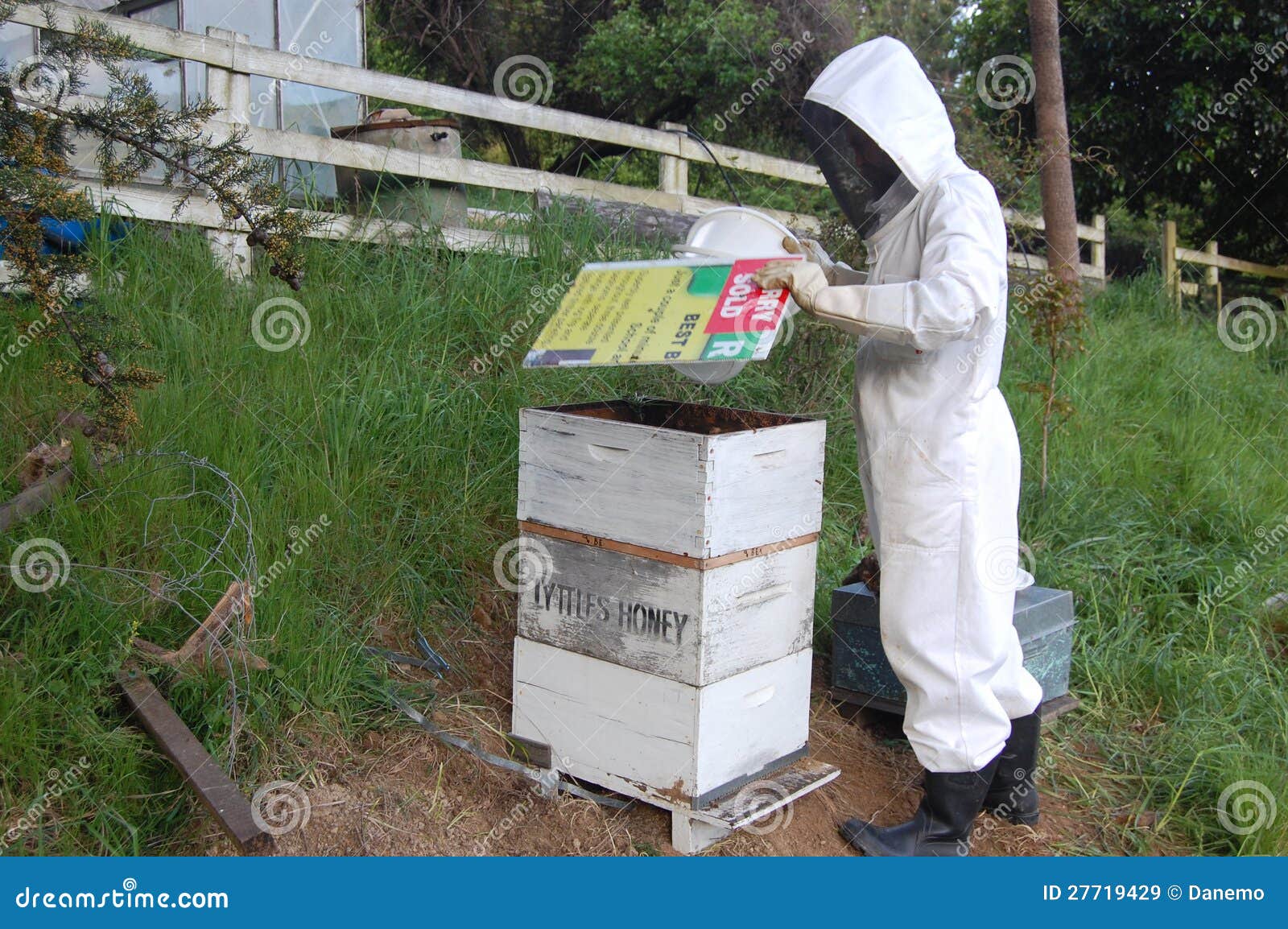 Man working with beehive editorial stock image. Image of honey - 27719429