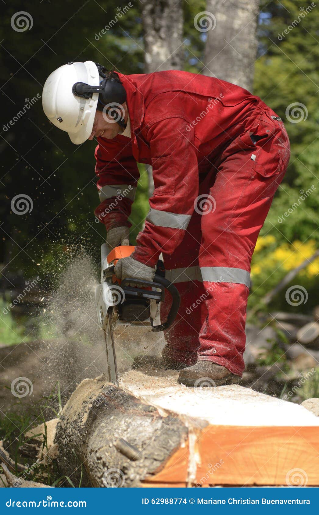 Man Working with Chainsaw stock photo. Image of worker - 62988774