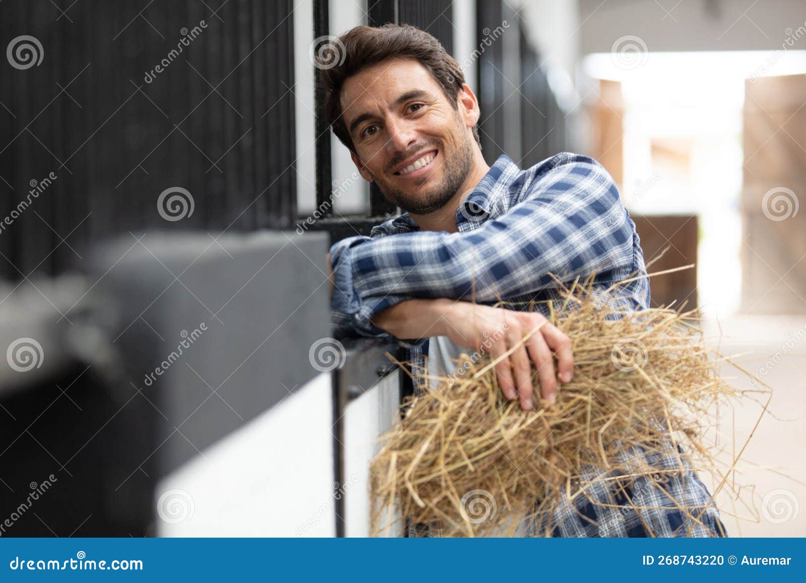 Man in Working Clothes Feeding Horse with Hay at Stable Stock Photo ...