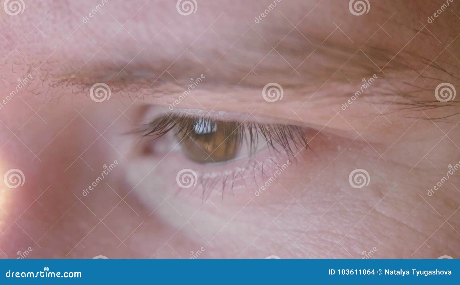 A Man Working at a Computer. the Light Reflection in the Eyes. Stock ...