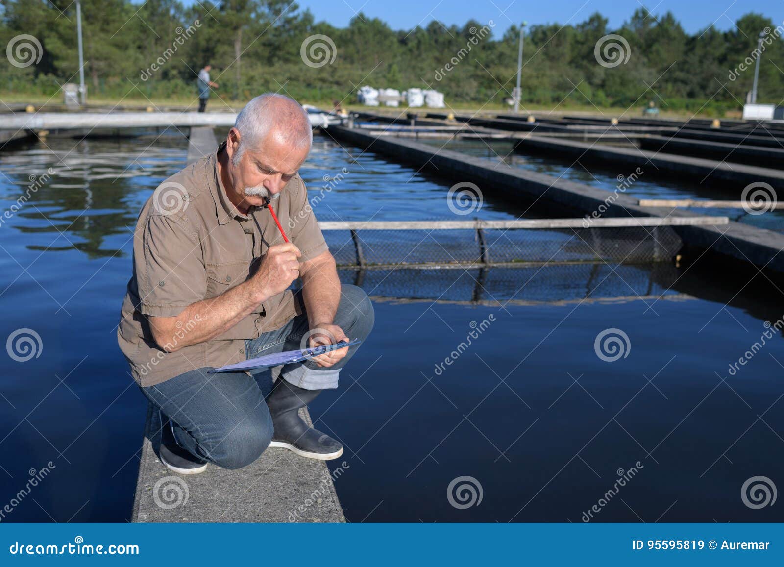 Man Working at Fish Factory Stock Image - Image of fisherman, factory ...