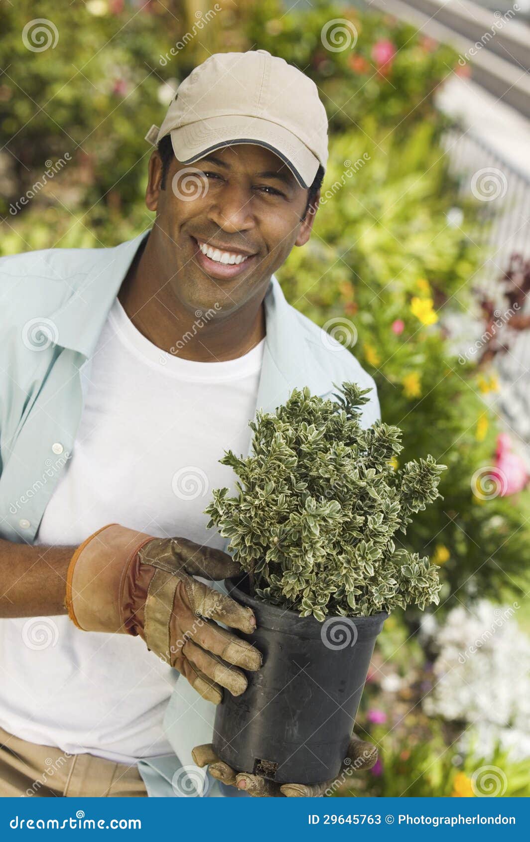 Man Working in Garden stock image. Image of potted, growing - 29645763