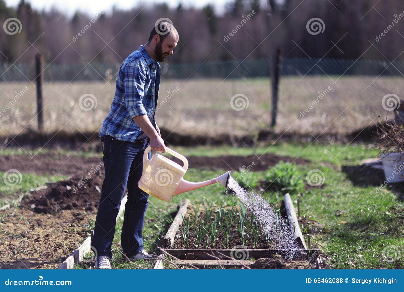 Man working in garden stock photo. Image of grow, outdoors - 63462088