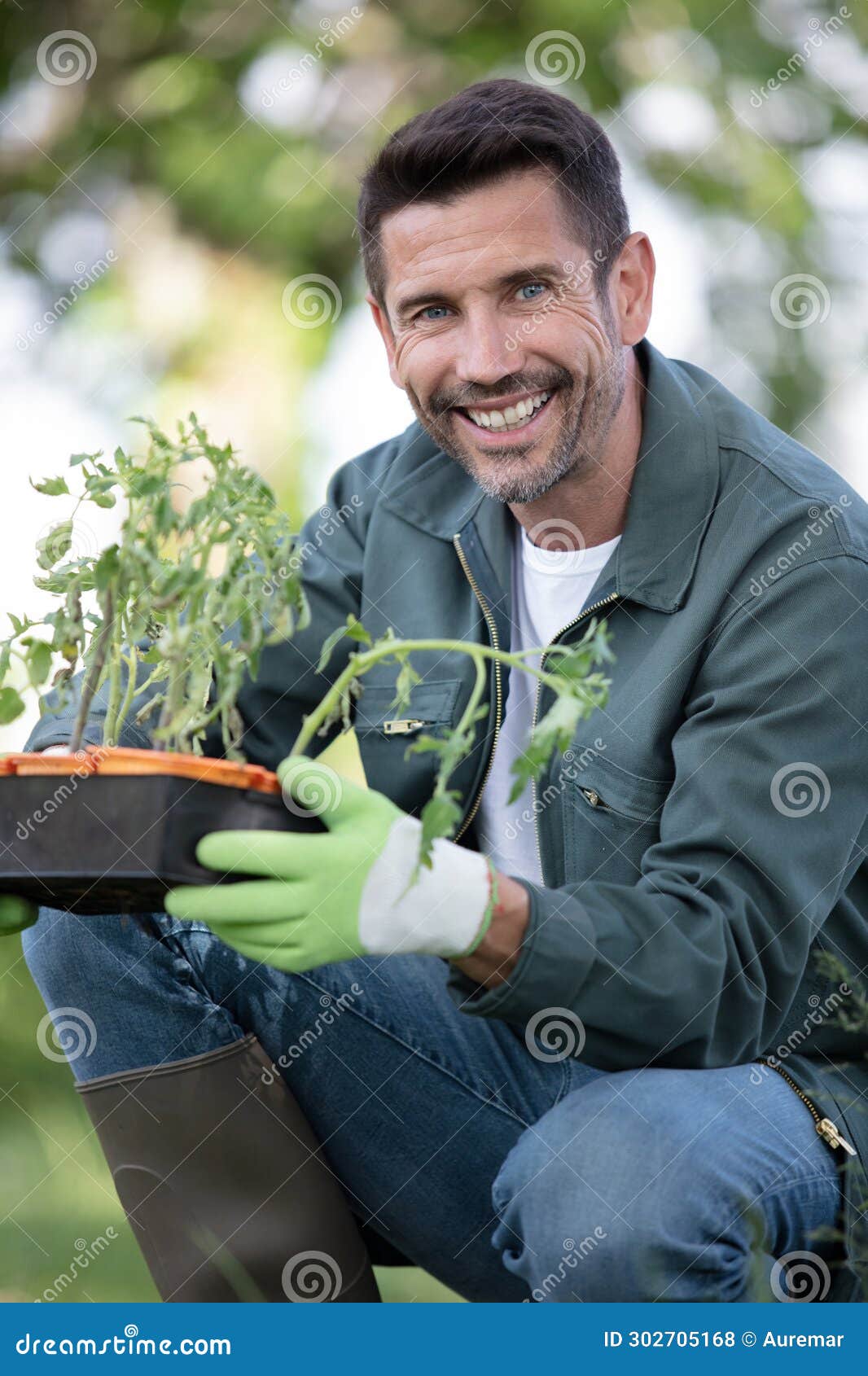Man Working in Garden Center Holding Plants Stock Photo - Image of ...