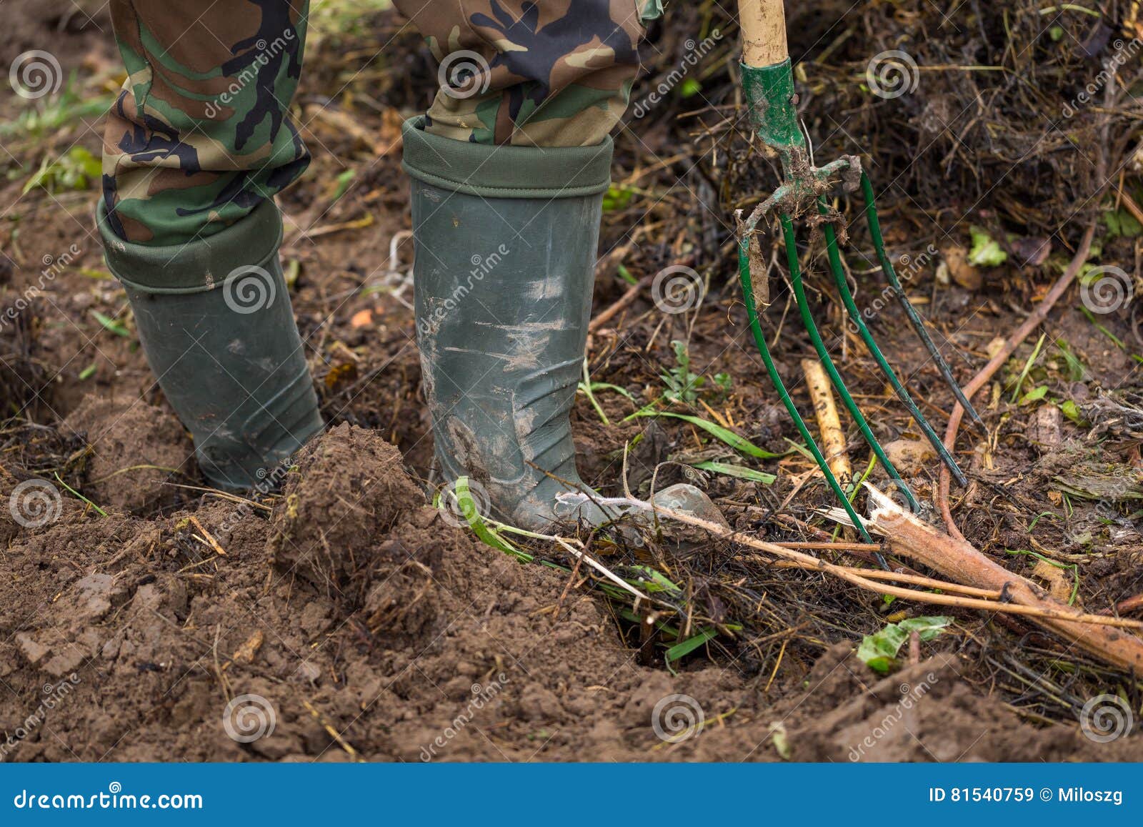 Man Working in Garden with Fork Stock Image - Image of fertilize ...