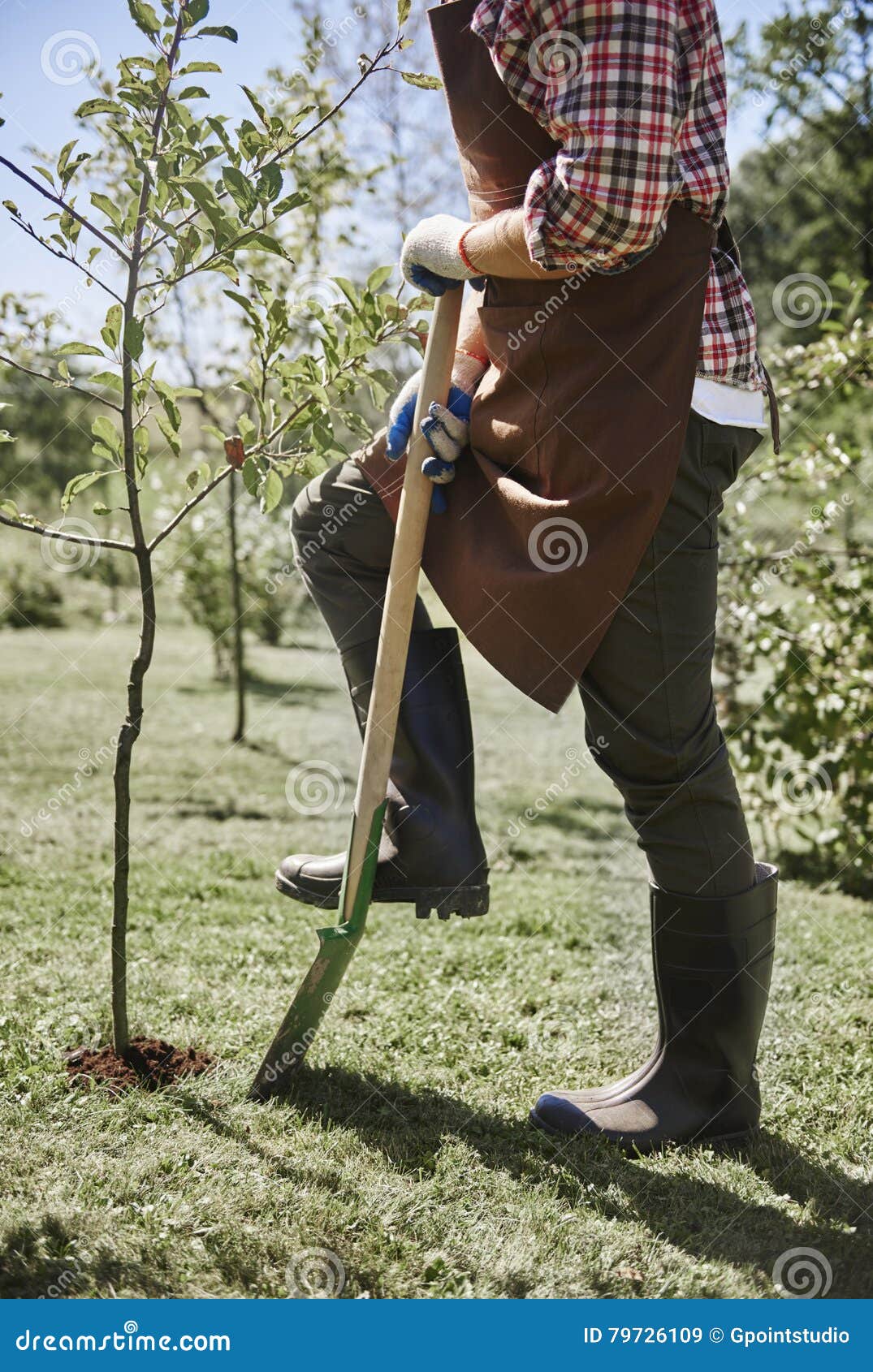 Man working at garden stock image. Image of freshness - 79726109