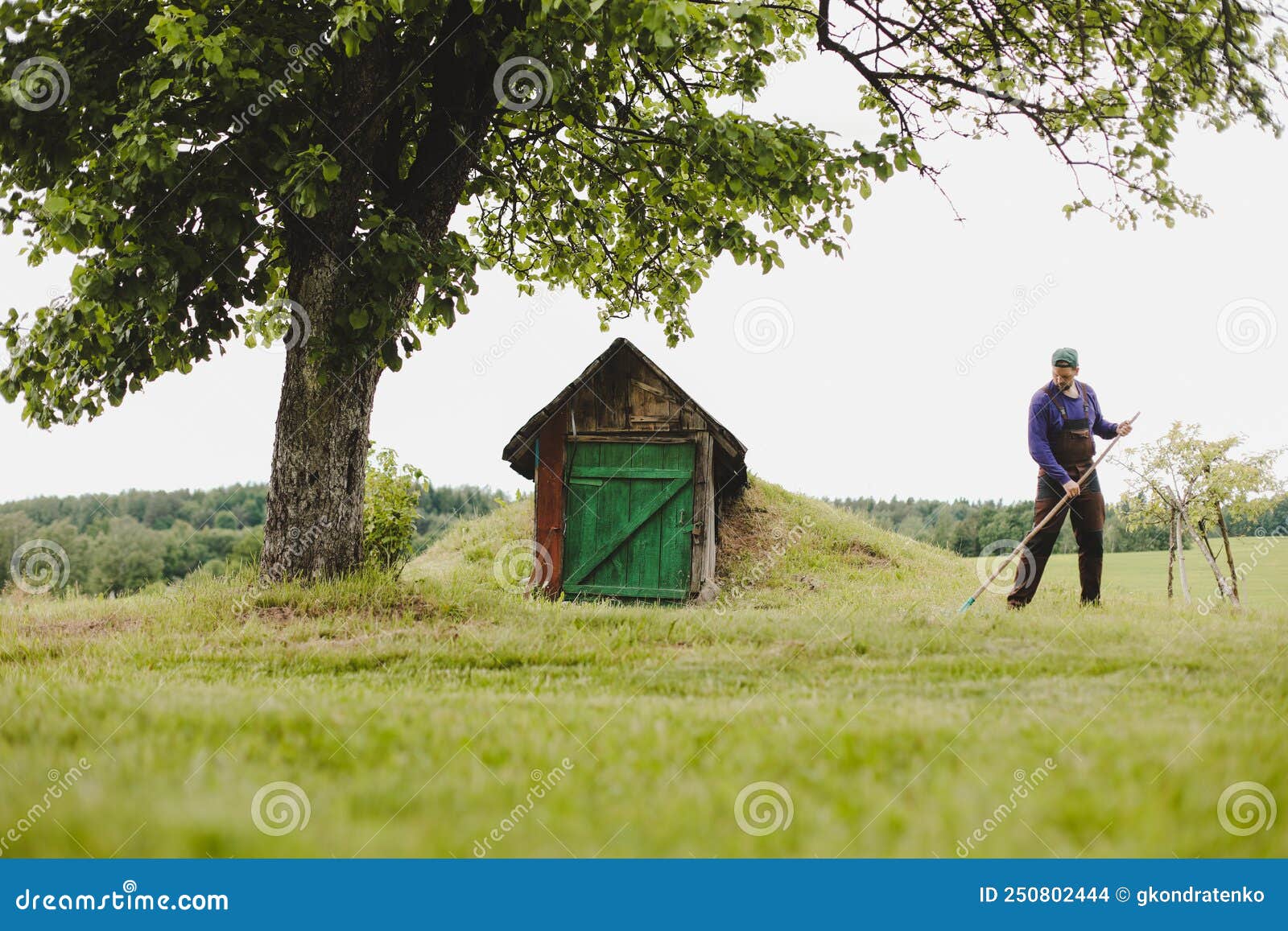 Man Working in the Garden with Rake in a Sunny Day. Farmer Working in ...