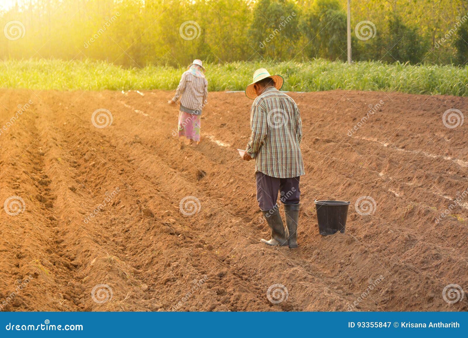 Man Working in the Garden for Seeding in Garden. Editorial Photography ...