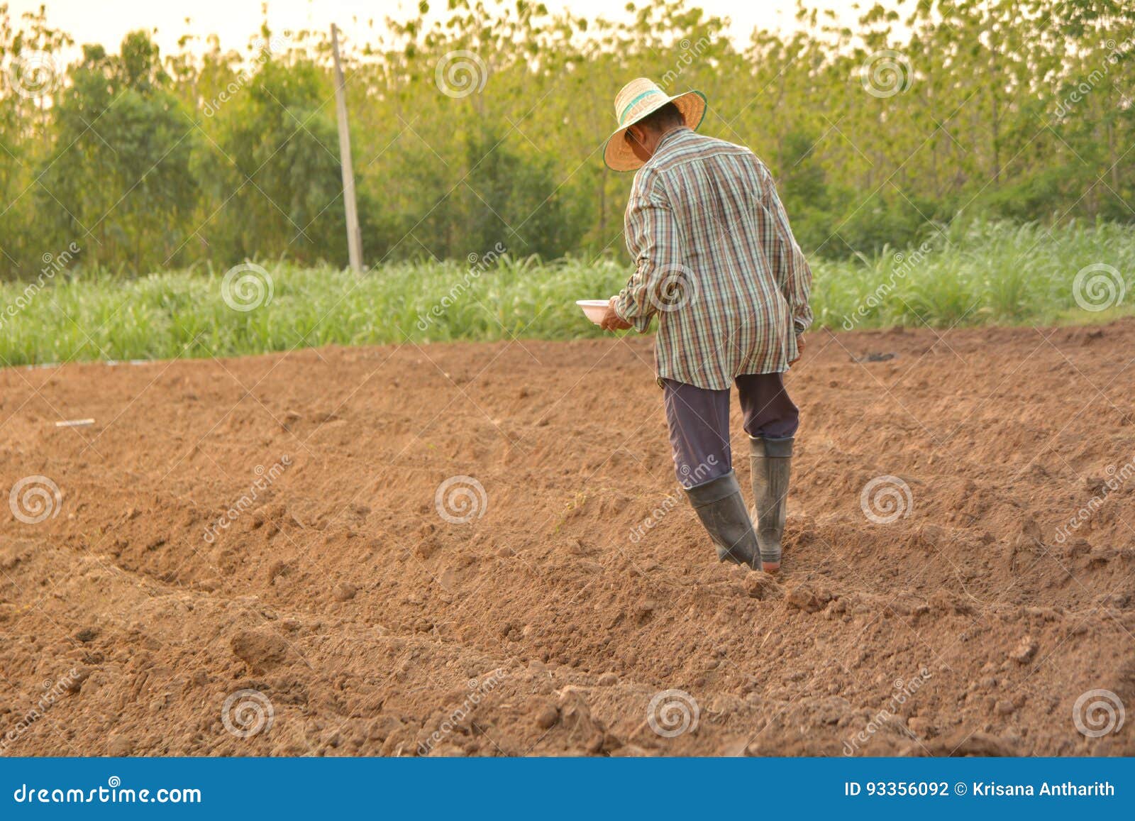 Man Working in the Garden for Seeding in Garden. Editorial Photography ...