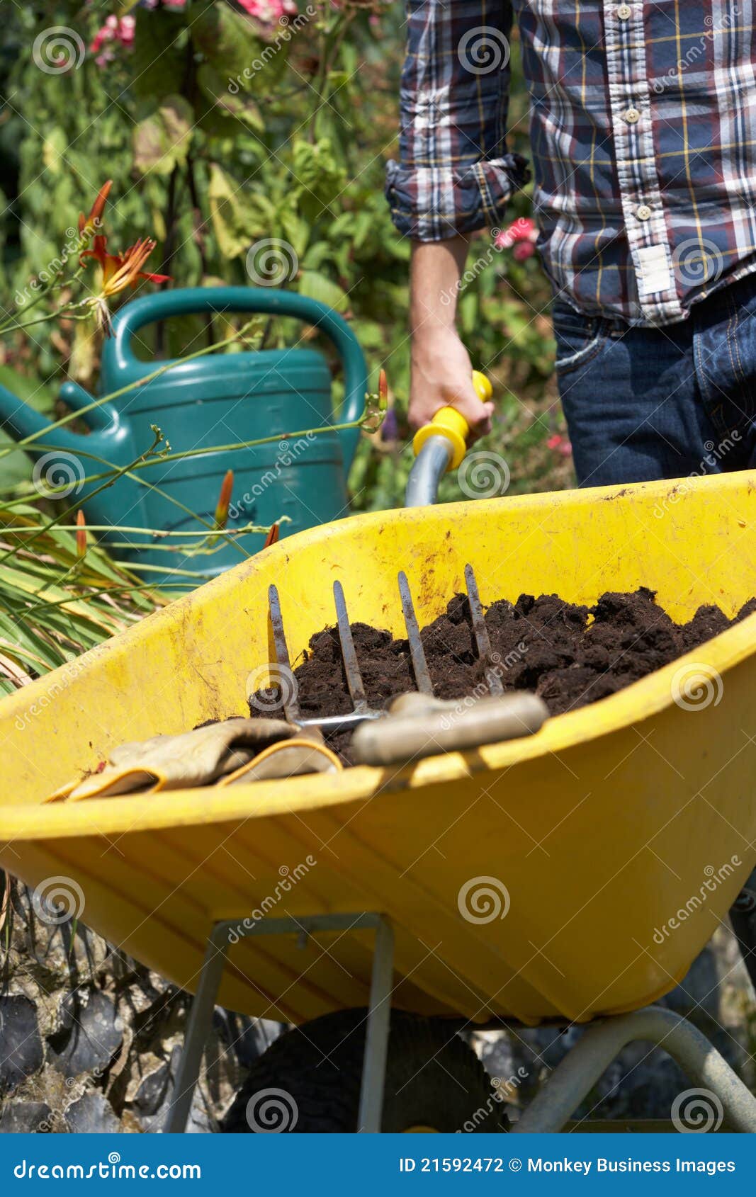 Man Working in Garden with Wheelbarrow Stock Photo - Image of person ...