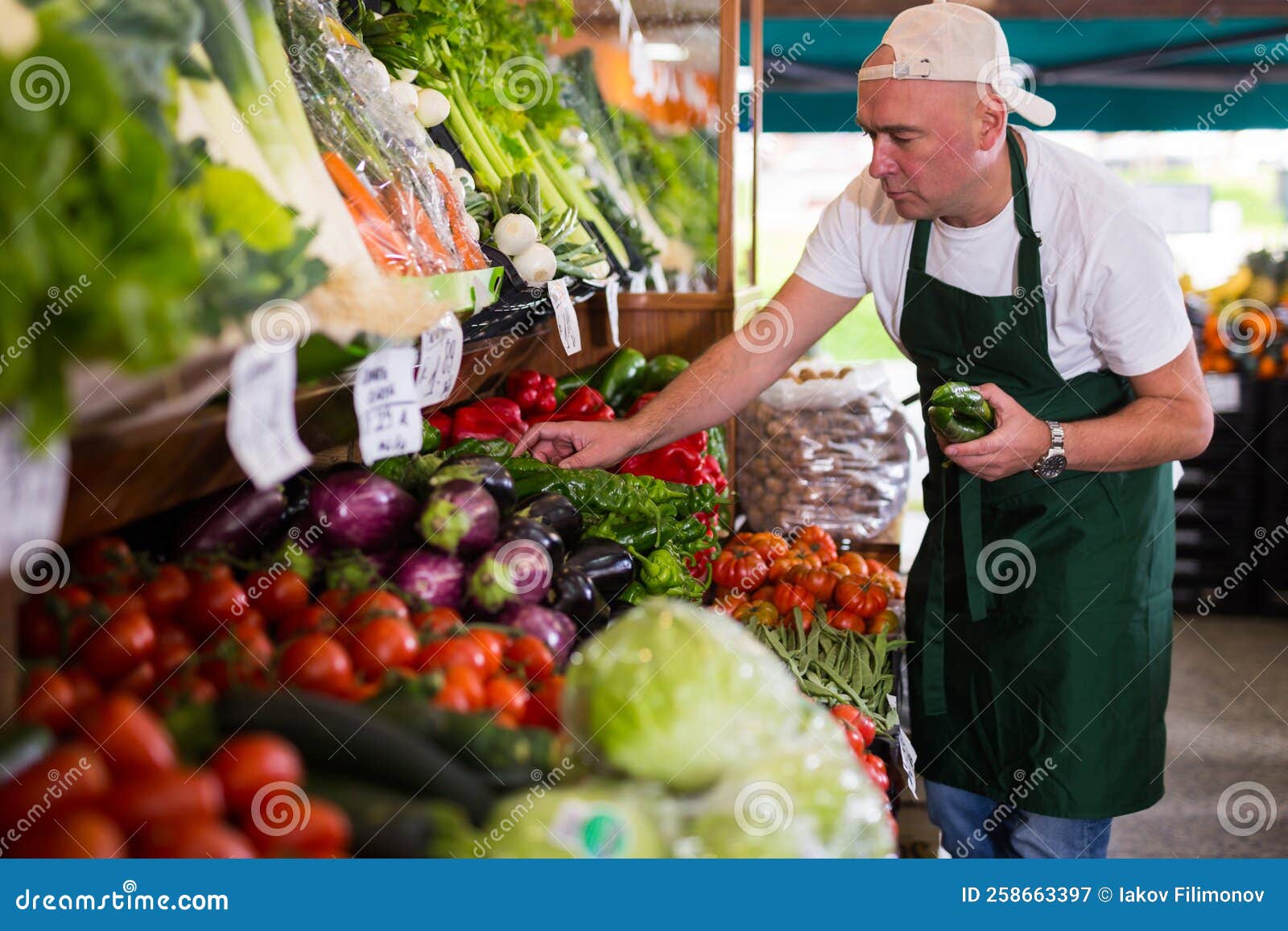 Man Working in Grocery Store Stock Image - Image of green, colorful ... Man Working in Grocery Store Stock Image - Image of green, colorful ...