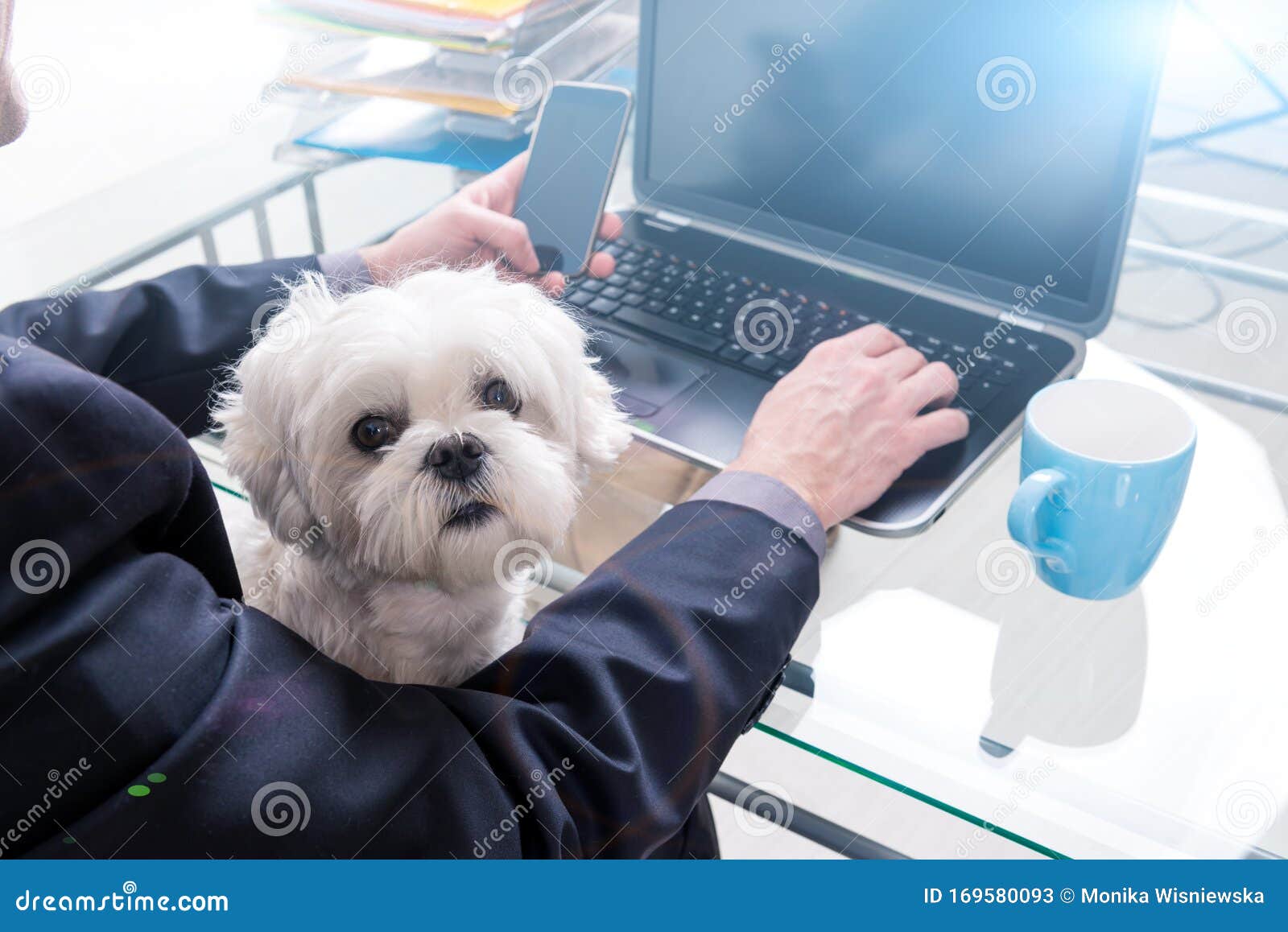 Working with Dog at Home or Office Stock Image - Image of office, love ...