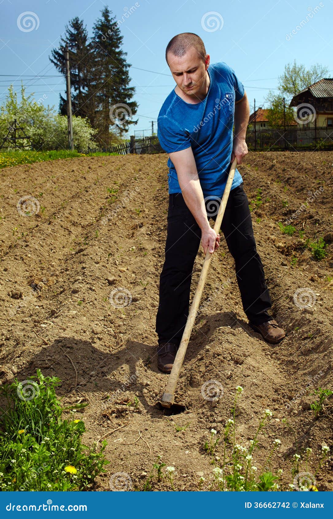 Man working the land stock photo. Image of lifestyle - 36662742