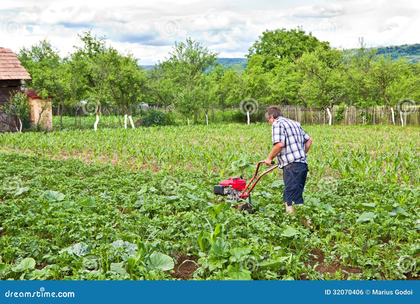 Man Working the Soil with Small Machine Stock Photo - Image of clouds ...