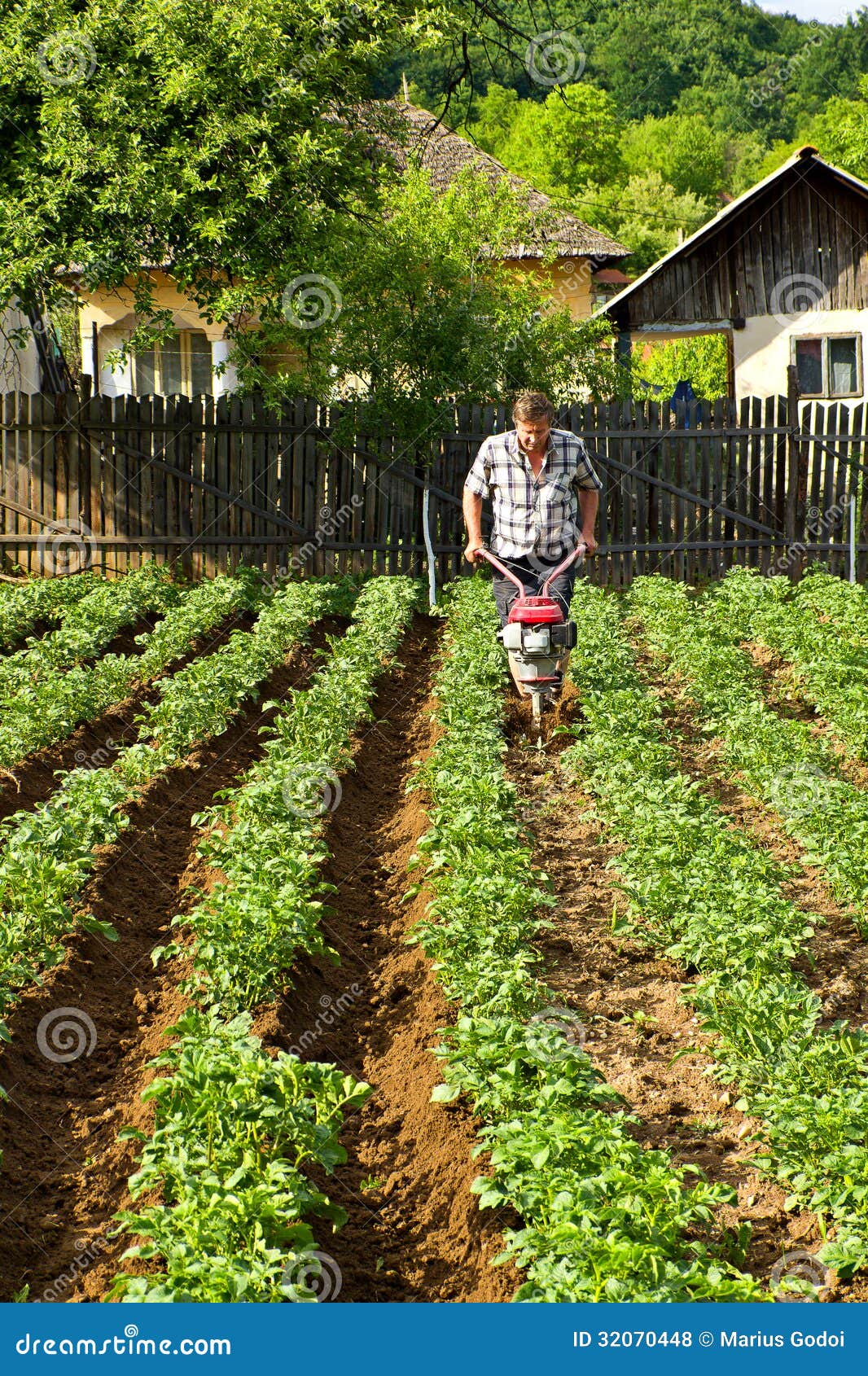 Man Working the Soil with Small Machine Stock Photo - Image of country ...