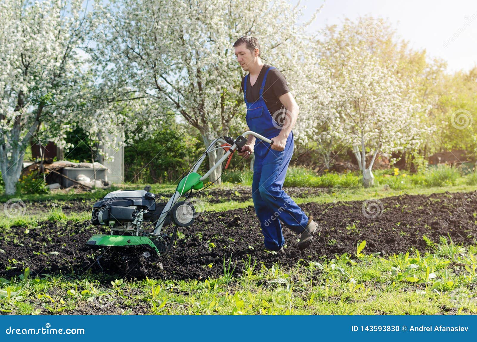 Man Working in the Spring Garden with Tiller Machine Stock Photo ...