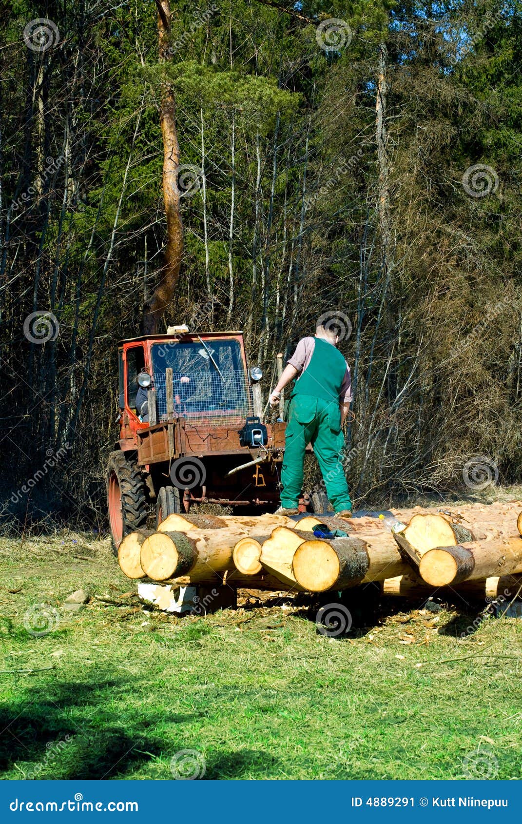 Man working with timber stock image. Image of trees, agricultural - 4889291