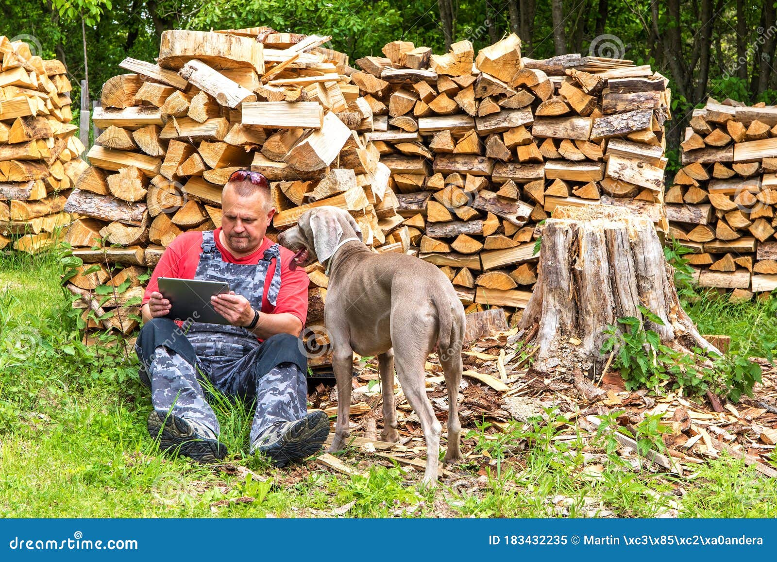 Man Working in the Woods with a Tablet. Internet Connection at Work ...