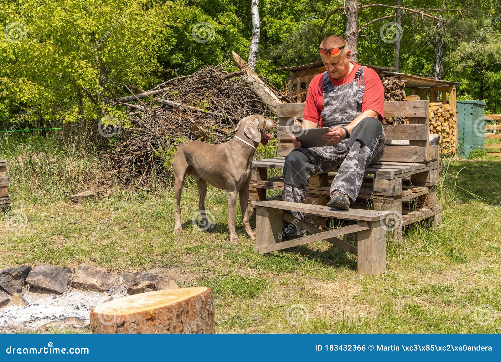 Man Working in the Woods with a Tablet. Internet Connection at Work ...