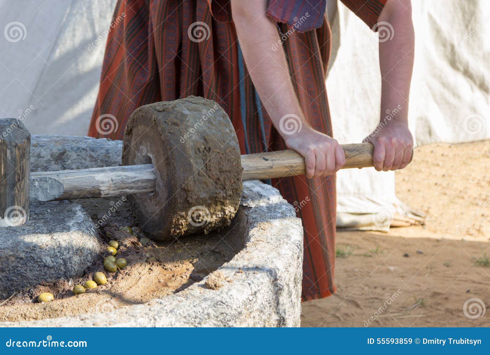 Man Works at Ancient Roman Press for Olive Oil Stock Image - Image of ...
