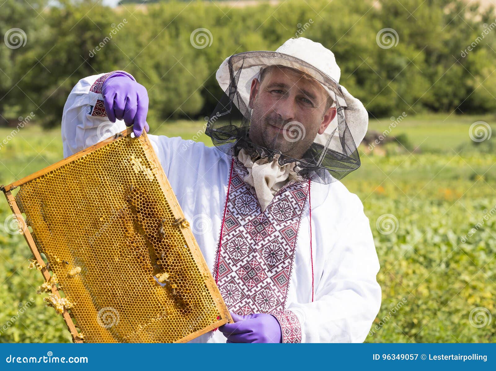 A man works in an apiary stock image. Image of apiaries - 96349057
