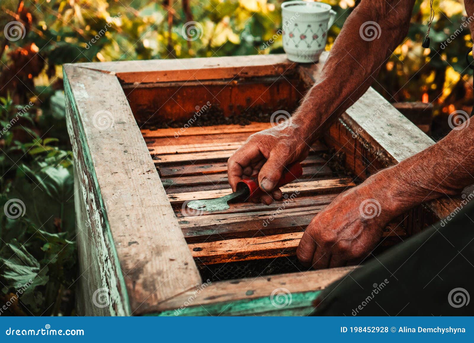 A Man Works in an Apiary with Tools Near the Beehive with Honey and ...