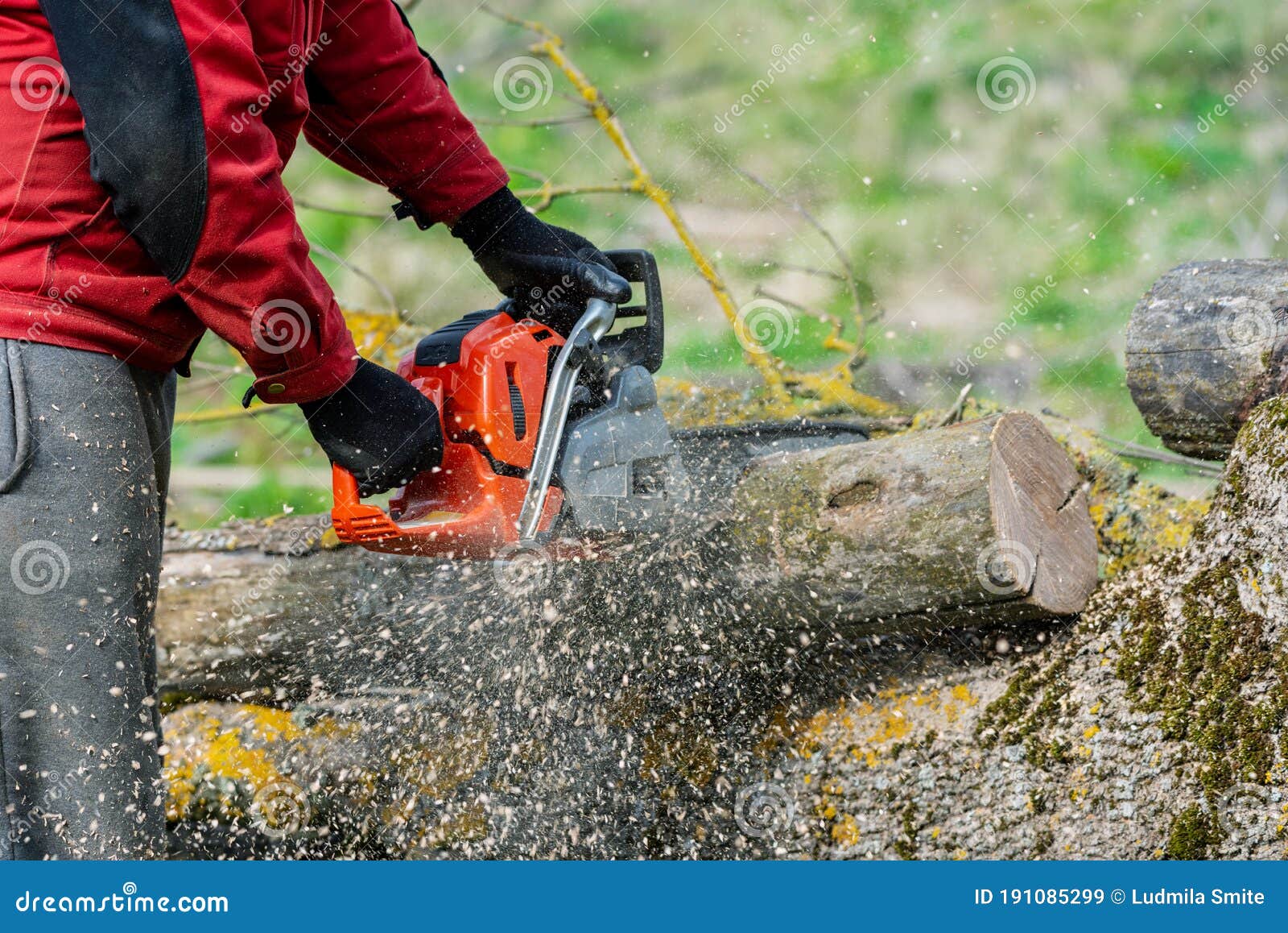 Man works by chainsaw stock image. Image of lumber, industry - 191085299