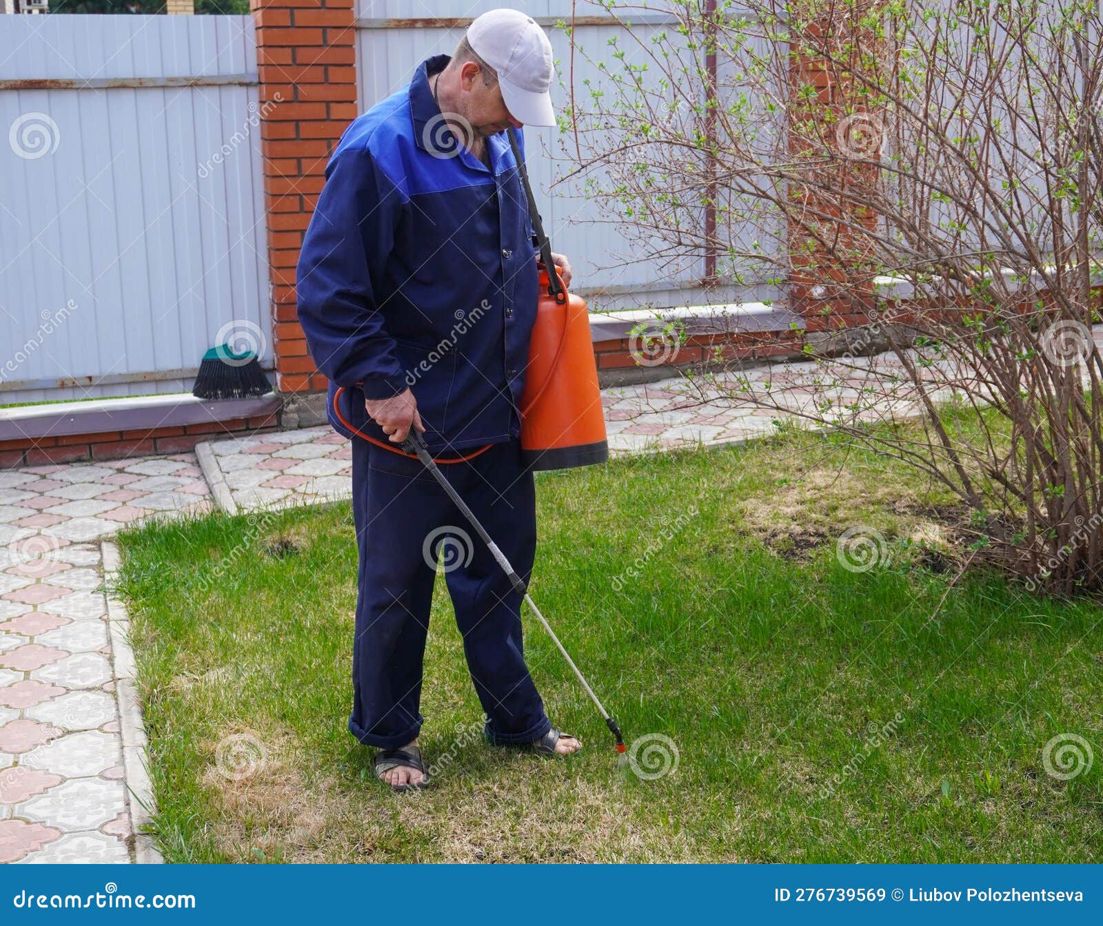 A Man Works in the Garden, Spraying Weeds from a Sprayer Stock Image ...