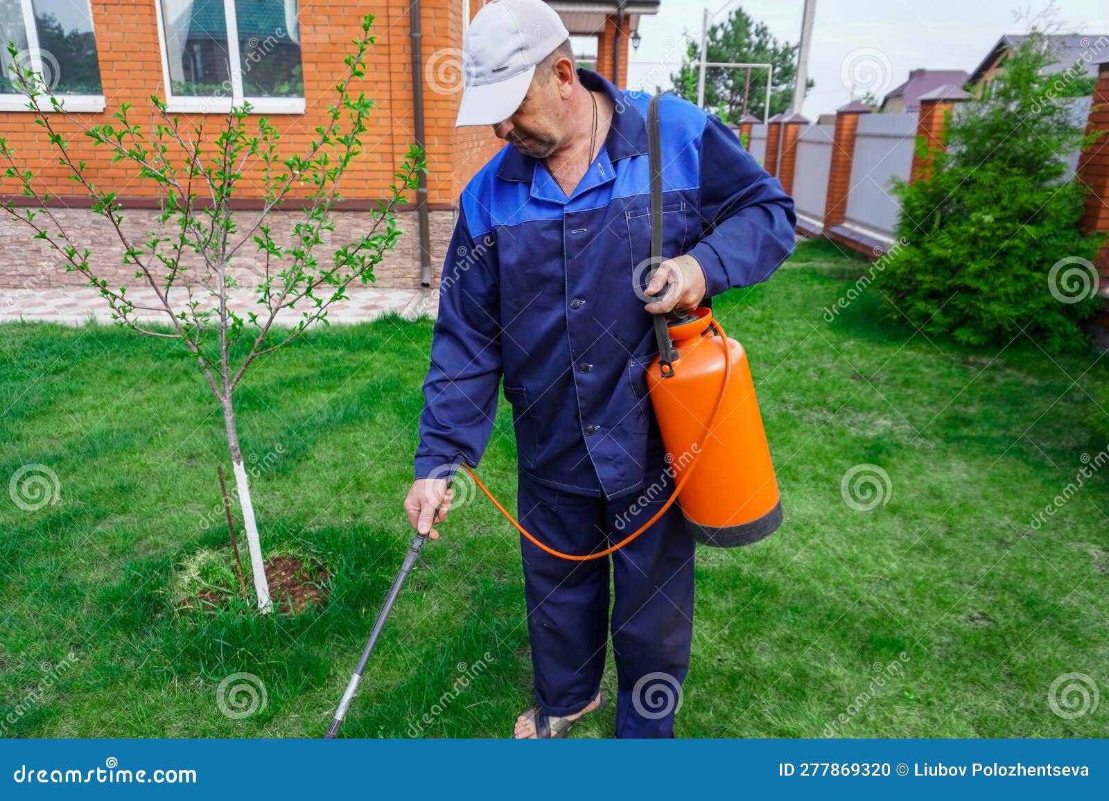 A Man Works in the Garden, Spraying Weeds from a Sprayer Stock Photo ...