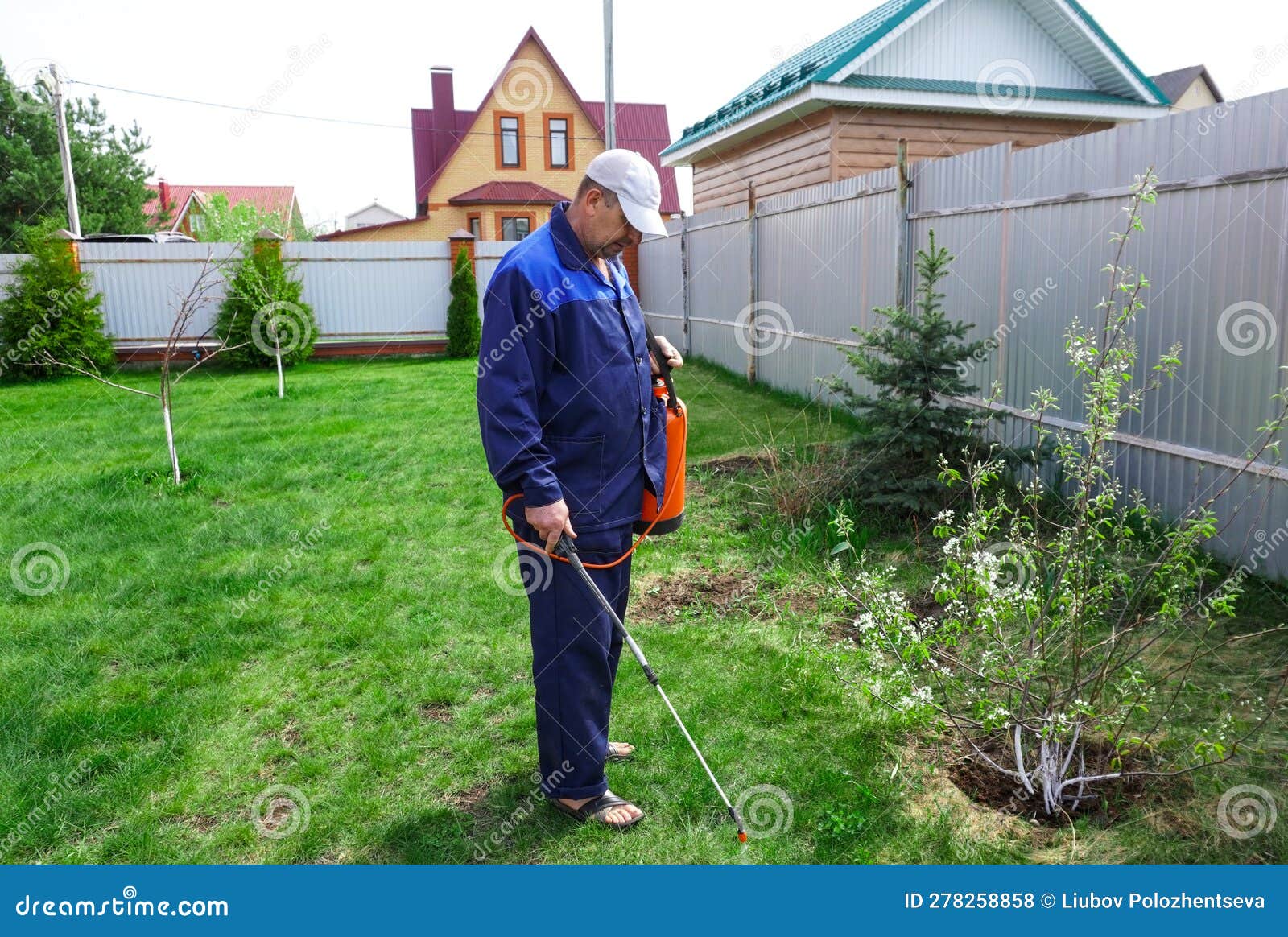 A Man Works in the Garden, Spraying Weeds from a Sprayer Stock Photo ...