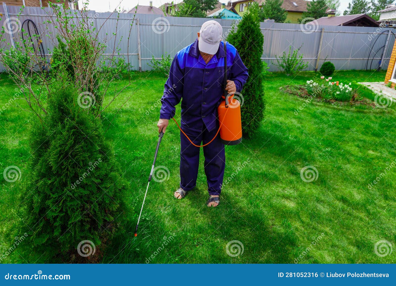 A Man Works in the Garden, Spraying Weeds from a Sprayer Stock Photo ...