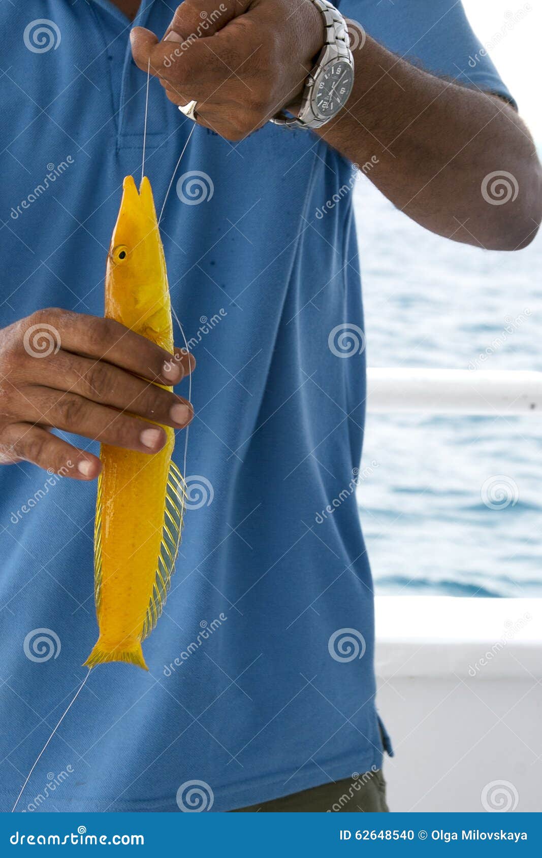 Man with yellow fish stock photo. Image of fitness, mouth - 62648540