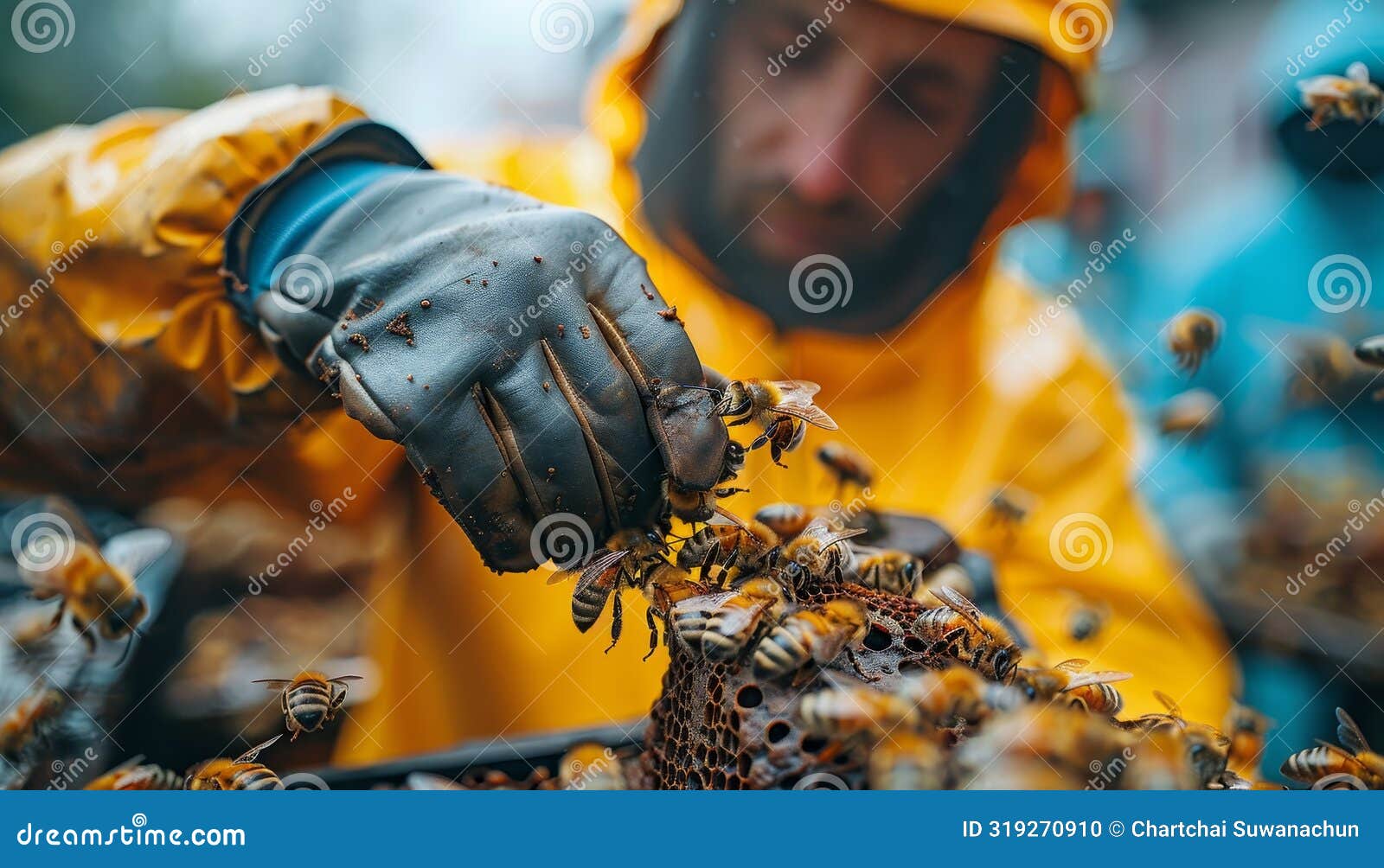 A Man in a Yellow Raincoat is Feeding Bees by AI Generated Image Stock ...